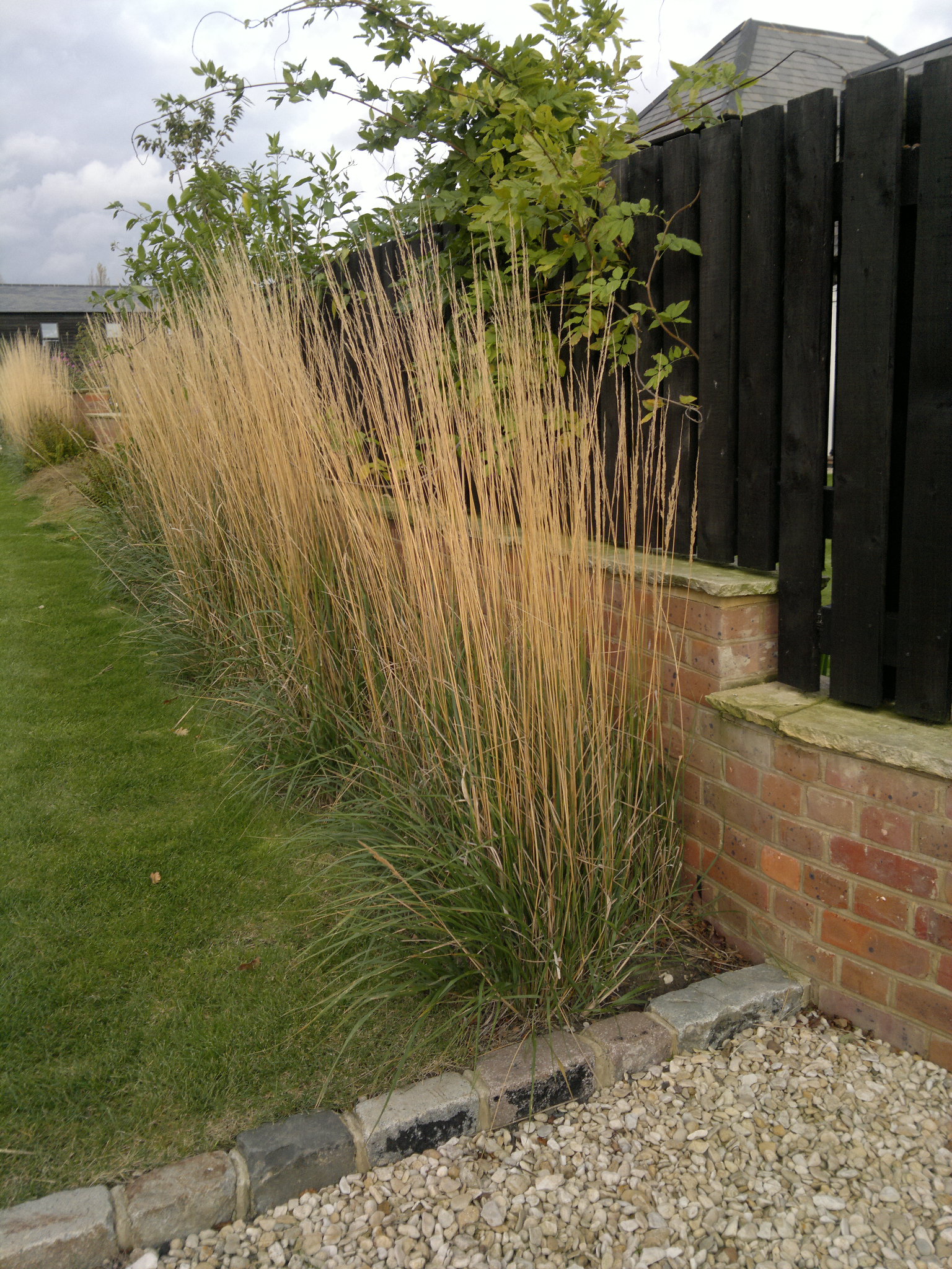 Rowden Farm - Thirlwall Associates